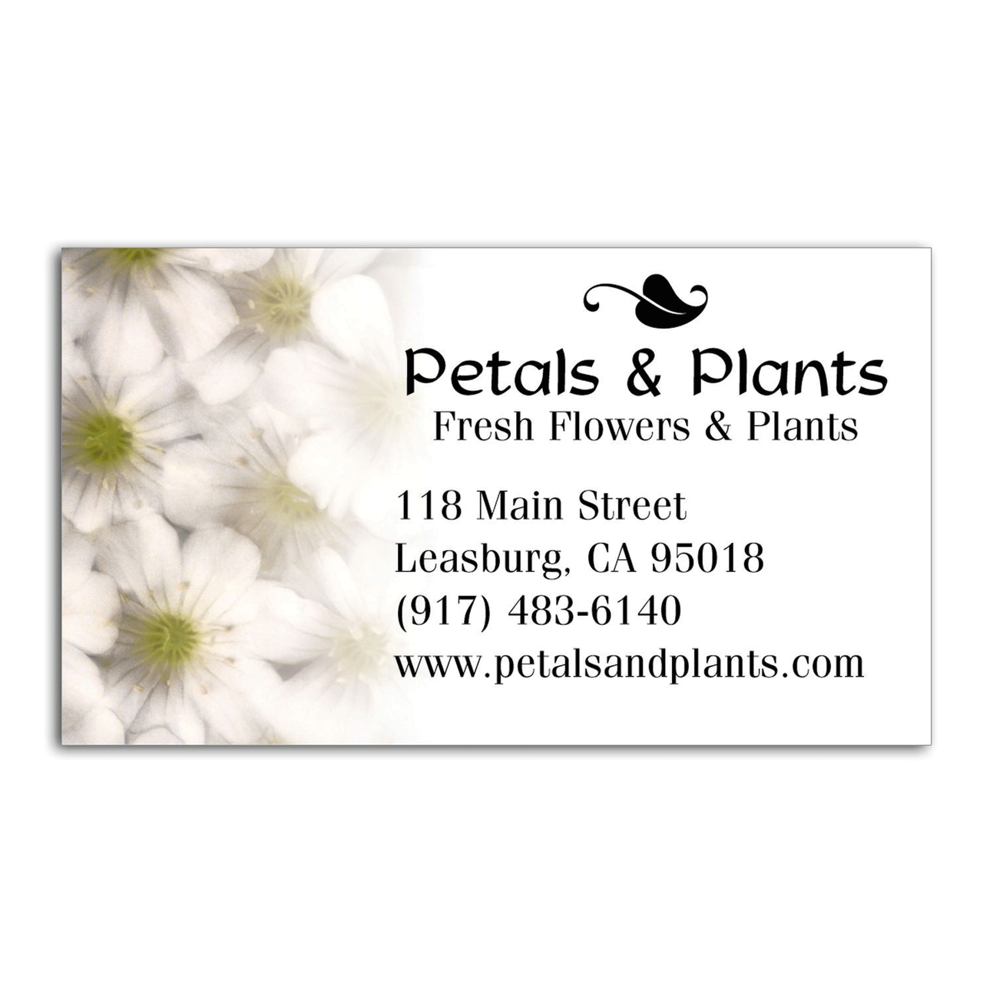 Custom Full Color Business Card Magnet with Daisy Design | Pens.com
