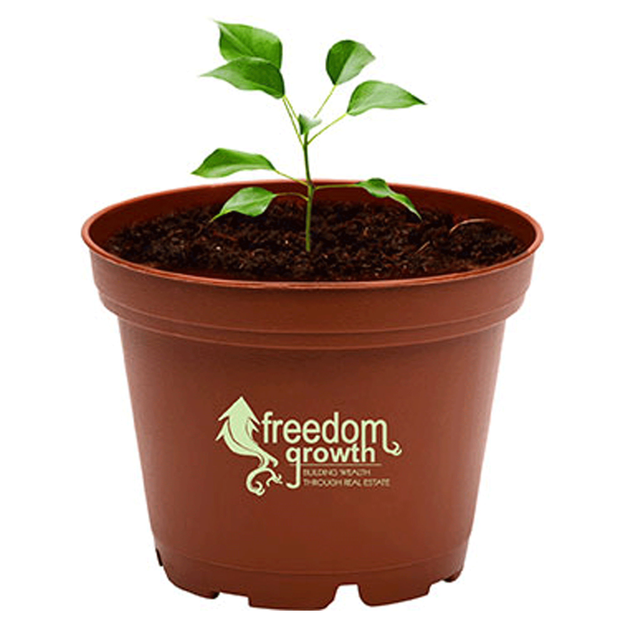 Custom Terra Cotta Wee Planter Kit | Pens.com