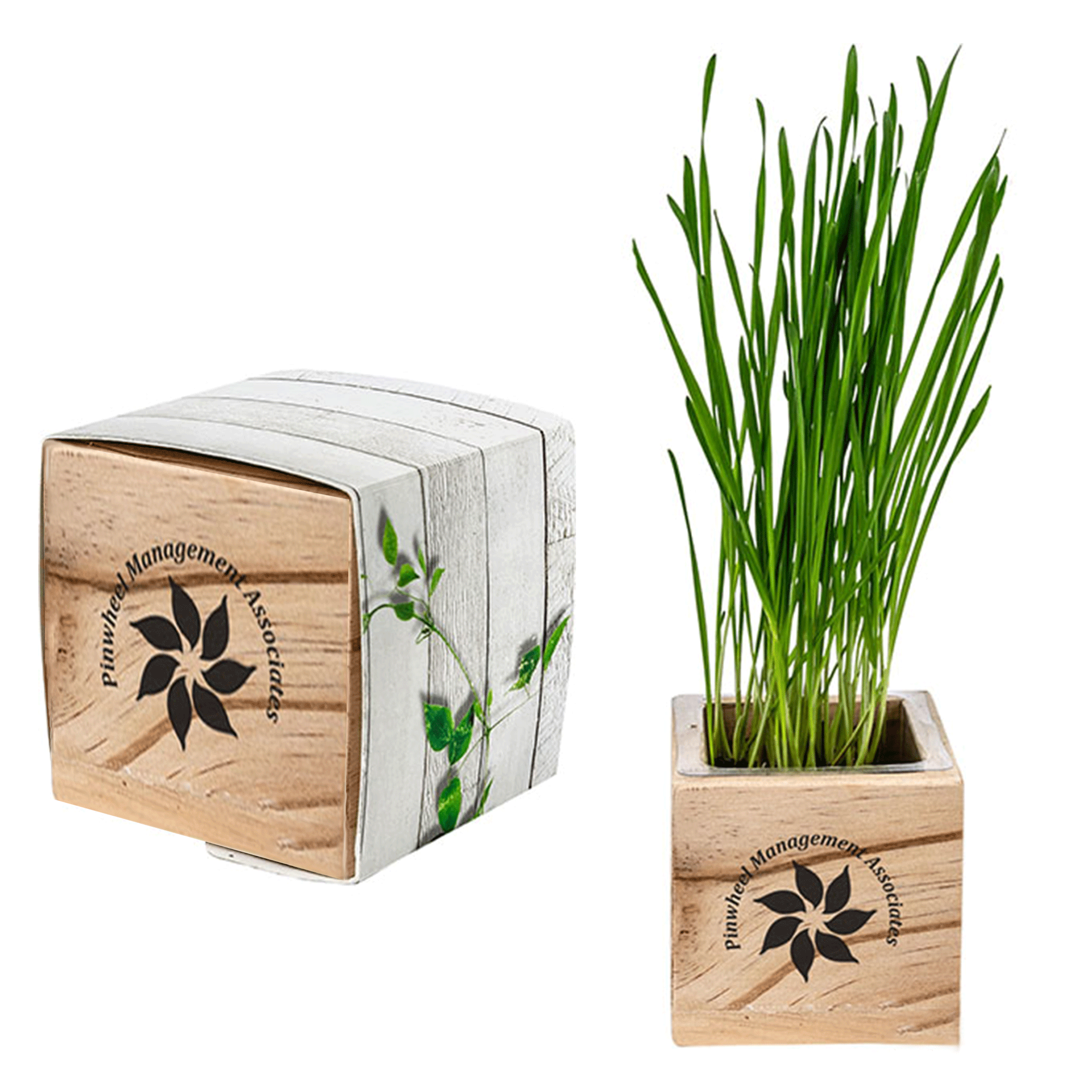 Custom Wooden Cube Grow Kit | Pens.com