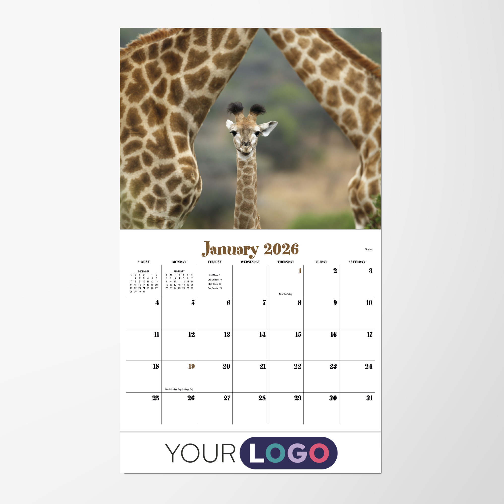 Custom Animal Babies Wall Calendar | Pens.com