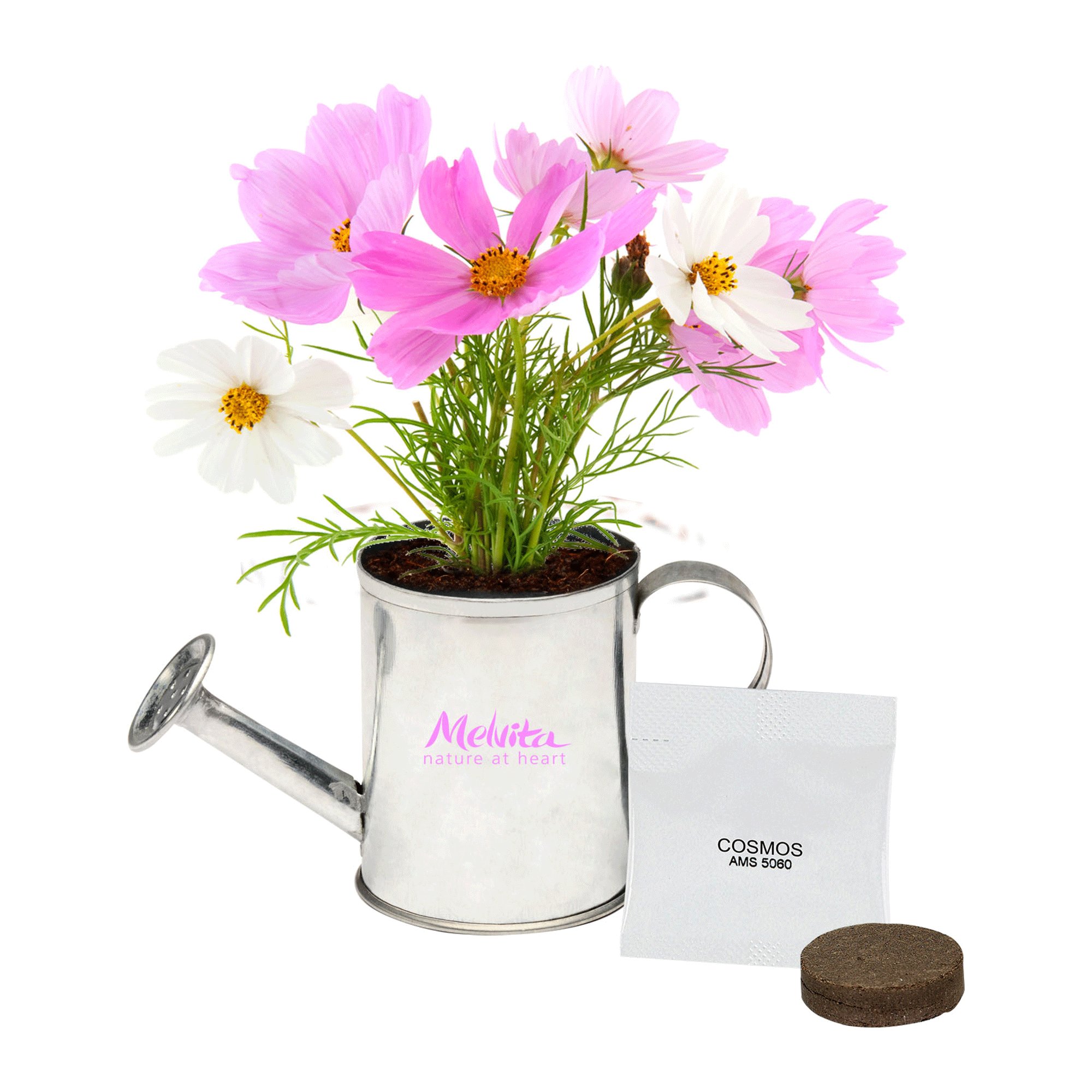 Custom Watering Can Planter Kit | National Pen CA