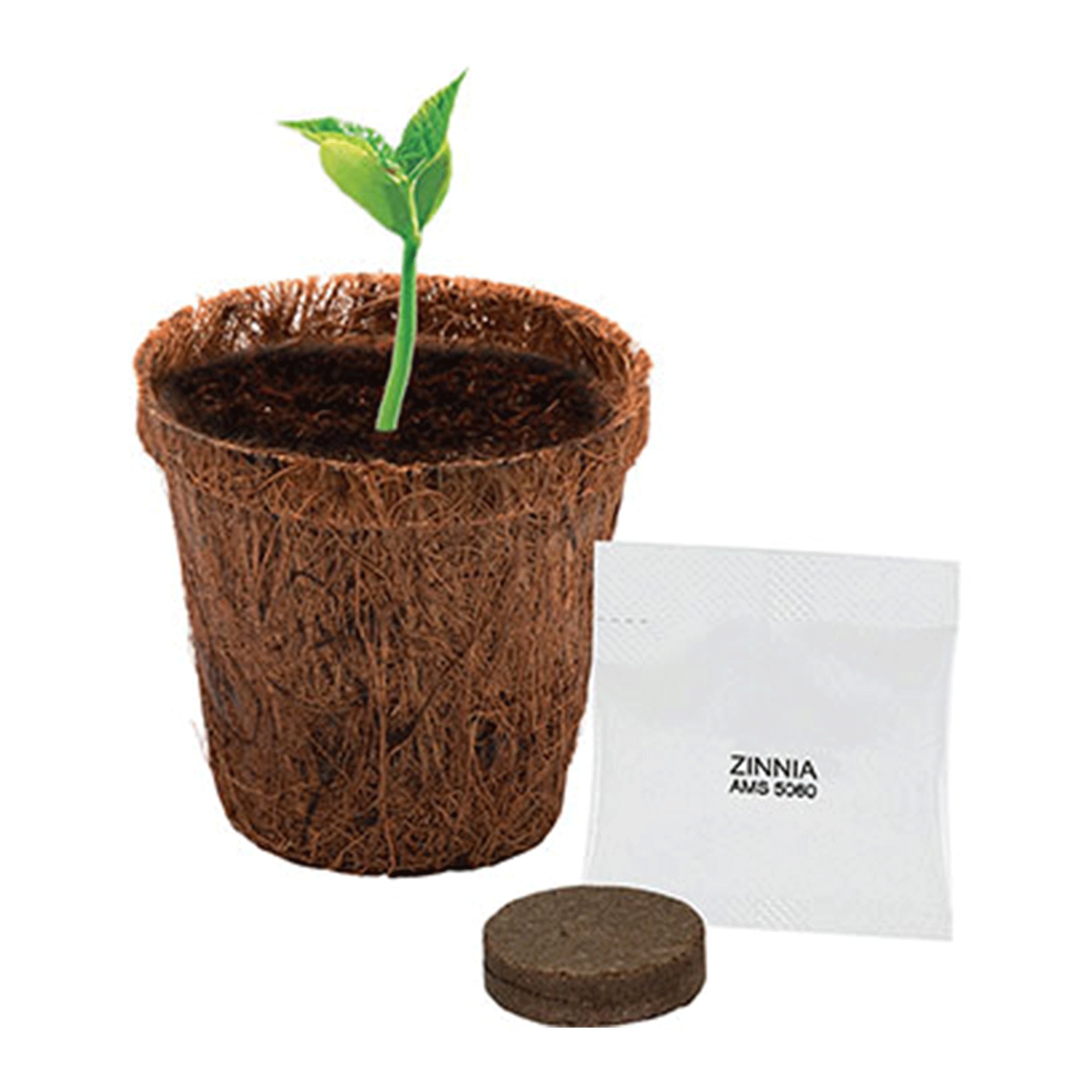 Custom CoCo Planter Kit | Pens.com