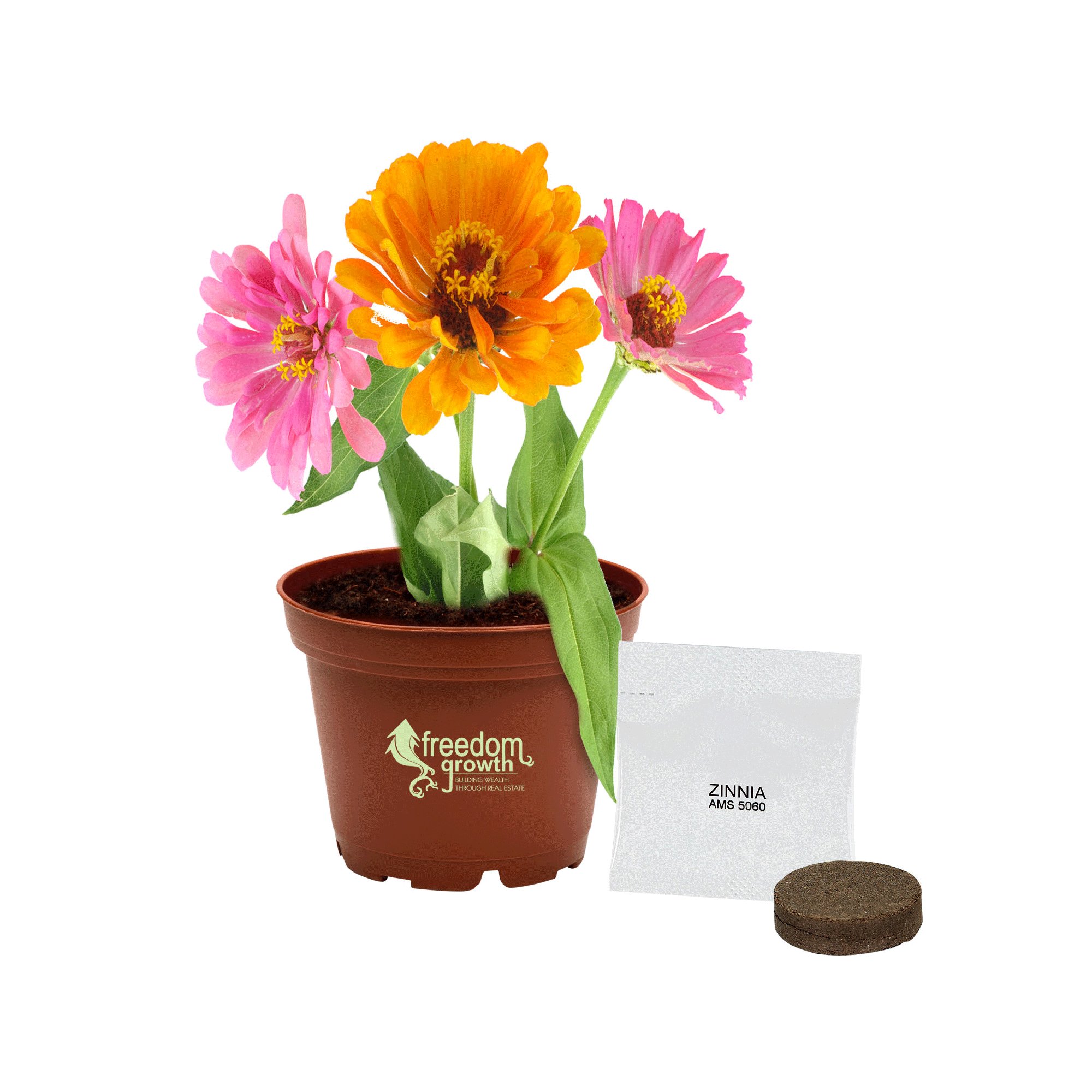 Custom Terra Cotta Wee Planter Kit | Pens.com